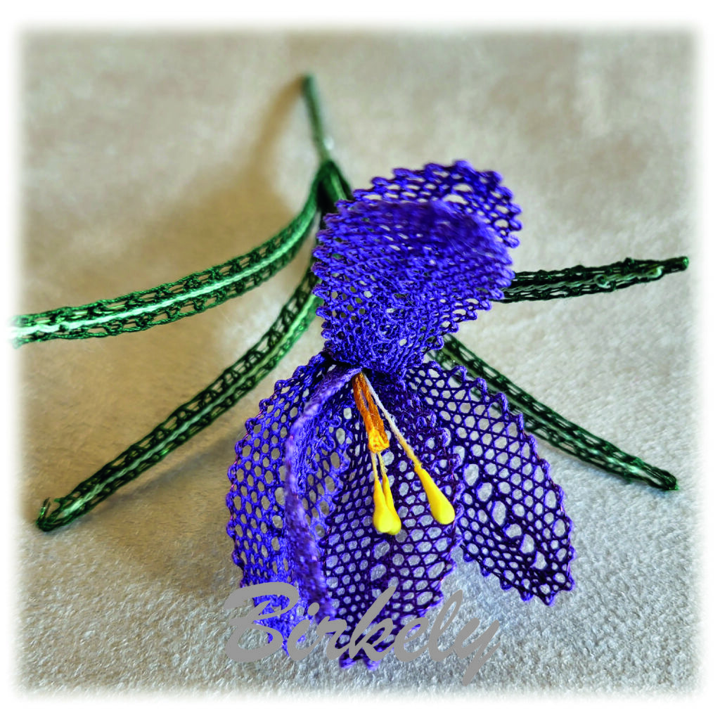 Krokus i potte – Birkely Kniplinger